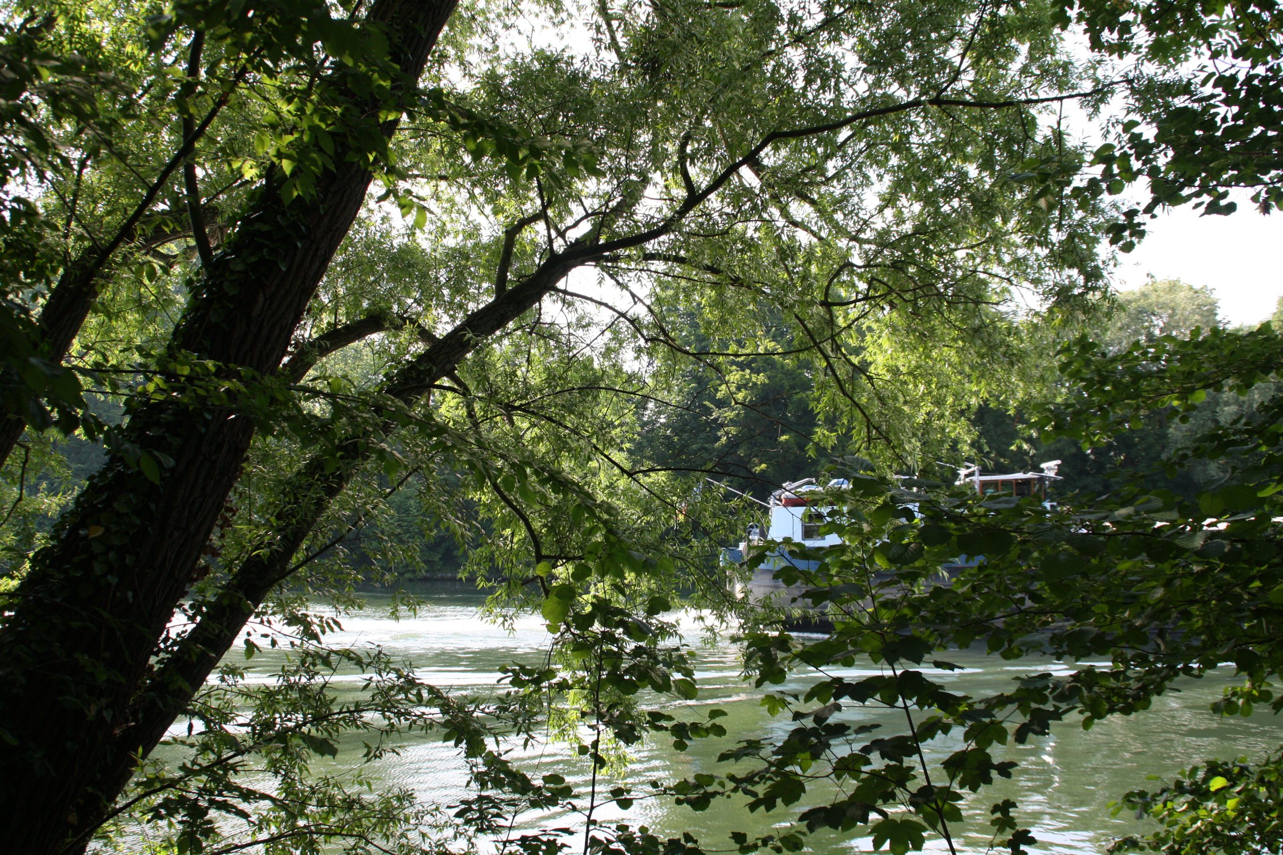 Le schéma départemental pour l'aménagement de la Seine et de ses berges ...